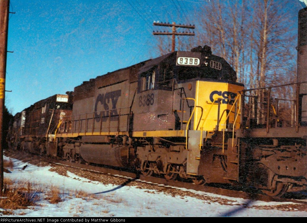 Water damaged print scan